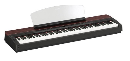 Los Mejores Pianos Digitales y Teclados Electrónicos en 《2025 》 Reviews
